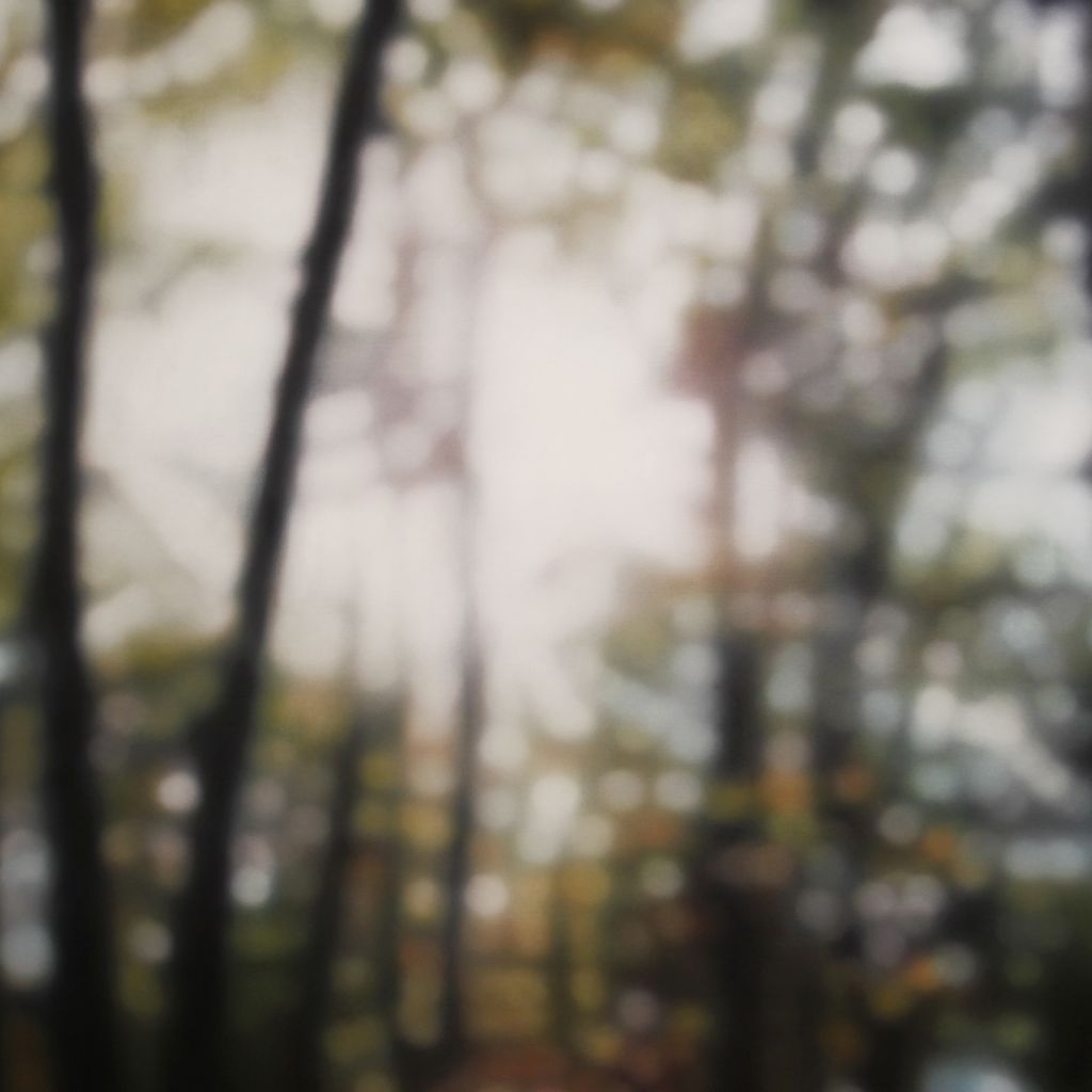 LANDSCAPES | Laura Wood | Artist | Toronto Canada Global | Oil on ...