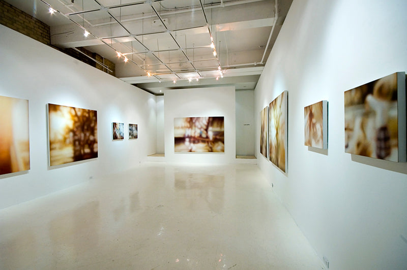 MEMORIES OF LEDA | Laura Wood | Artist | Toronto Canada Global | Oil on ...