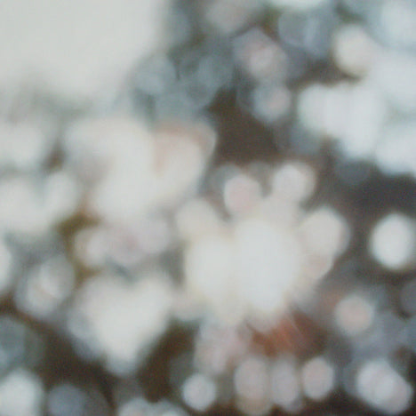 LANDSCAPES | Laura Wood | Artist | Toronto Canada Global | Oil on ...