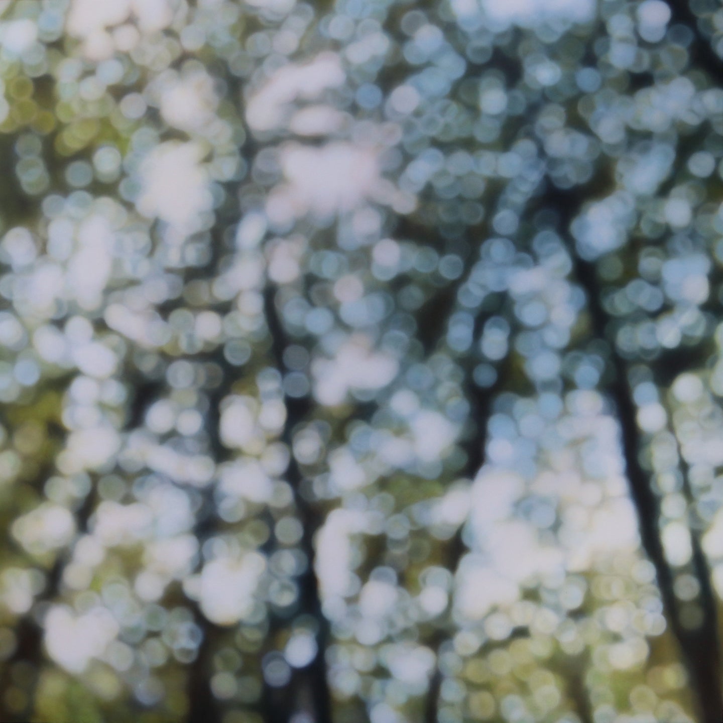 LANDSCAPES | Laura Wood | Artist | Toronto Canada Global | Oil on ...