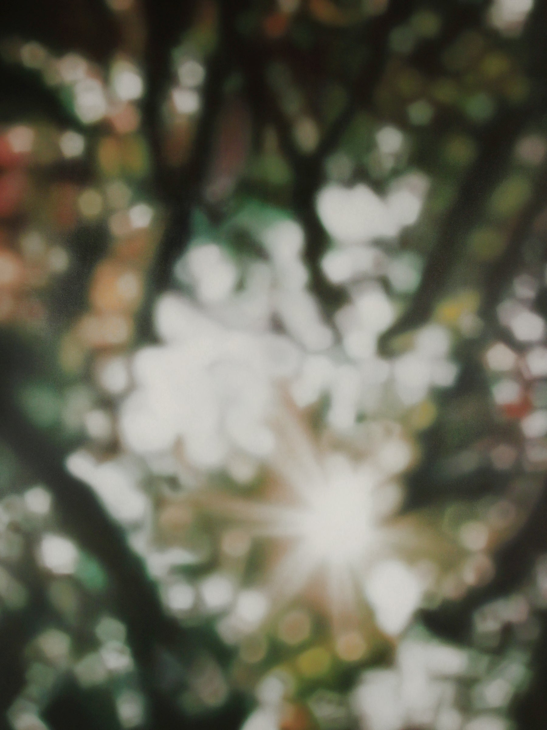 LANDSCAPES | Laura Wood | Artist | Toronto Canada Global | Oil on ...